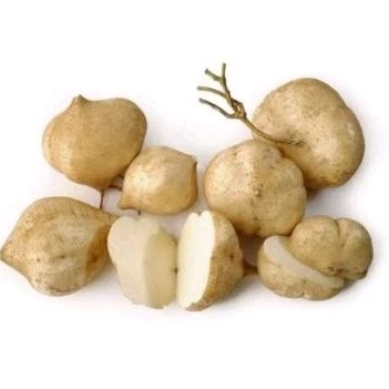 Jual BENGKOANG BUAT RUJAK 1KG | Shopee Indonesia