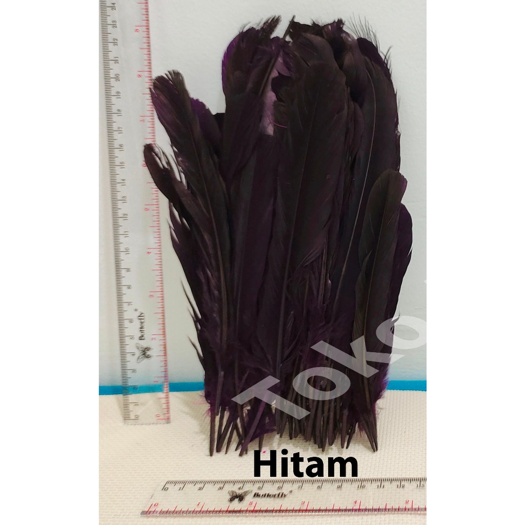 Jual Manik Bulu Ayam Payet Ramboci Putik Kawat Bulu Mercy Mata Boneka ...