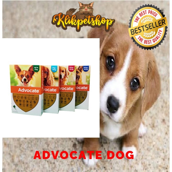 Jual ADVOCATE DOG OBAT TETES KUTU DAN CACING ANJING 1 TUBE | Shopee ...