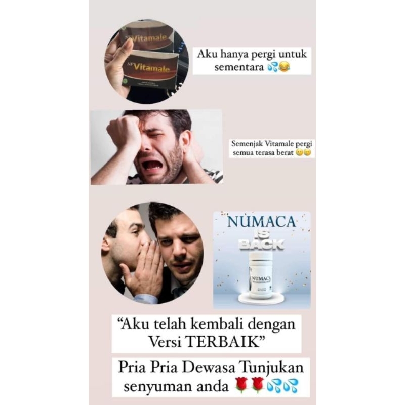 Jual Numaca original isi 60 kapsul (mengatasi mslh hormon) staminah ...