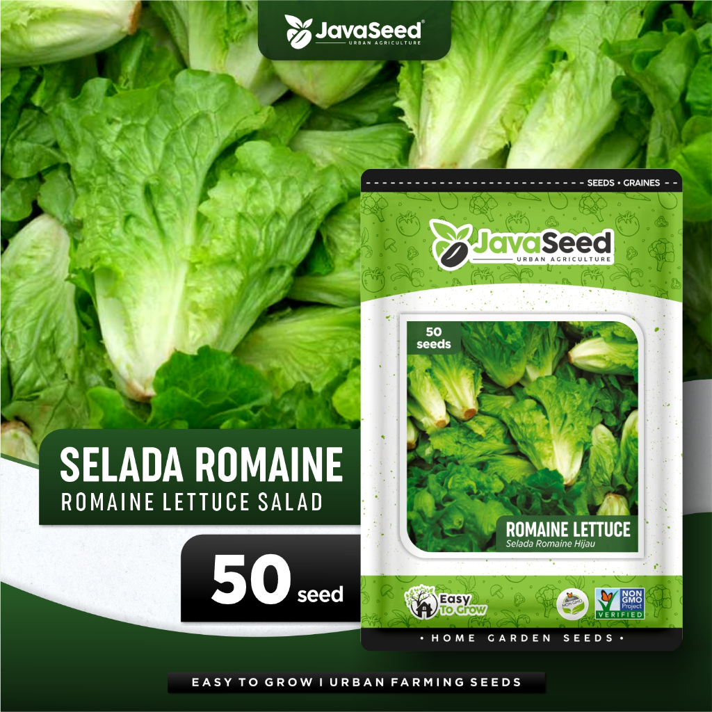Jual JAVASEED - Benih Selada Romaine Hijau Green Romaine Lettuce 50 Benih | Shopee Indonesia