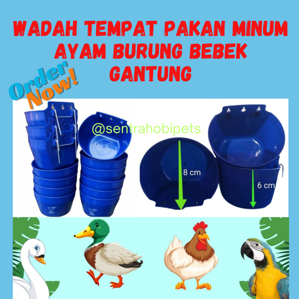 Jual Batok Cepuk Plastik Tempat Pakan Minum Ayam Burung Bebek Medion ...