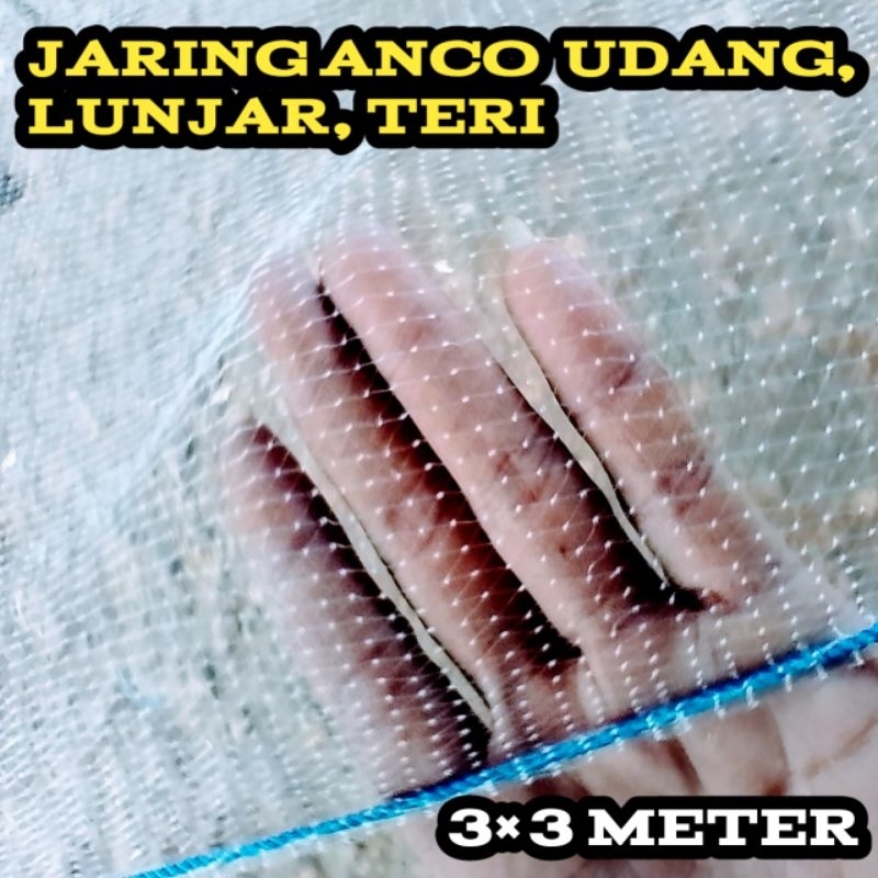 Jual Tangkul ikan kecil / jaring anco udang lunjar teri ukuran 3×3 ...