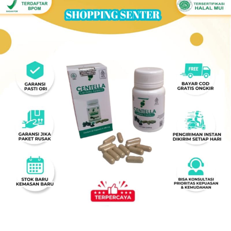 Jual Obat Vitamin Herbal Alami Untuk Kecerdasan Otak, Meningkatkan ...