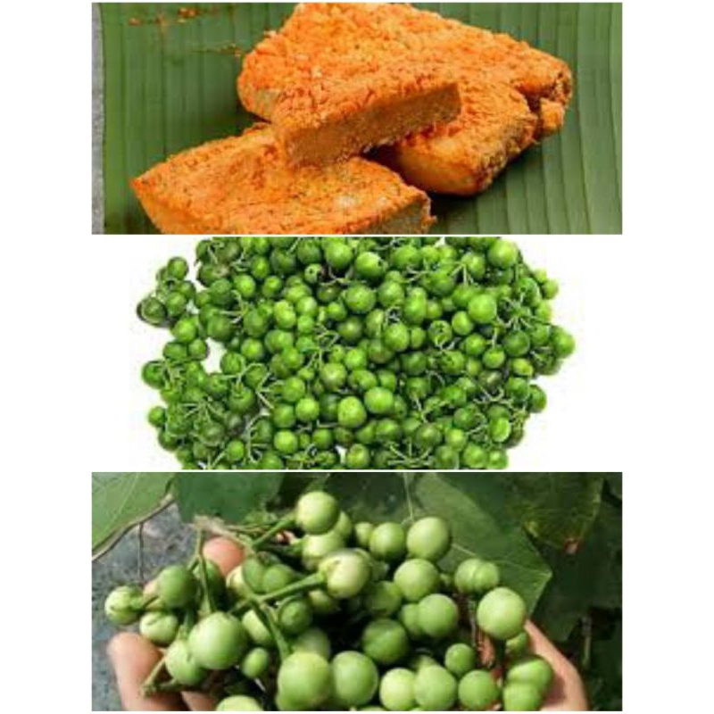 Jual Oncom ,lenca,tekokak | Shopee Indonesia