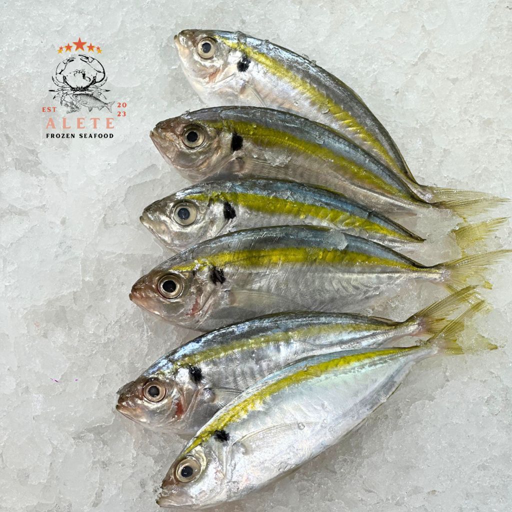 Jual Ikan Selar Segar 1kg Beku Frozen Selar Kuning Fresh | Shopee Indonesia