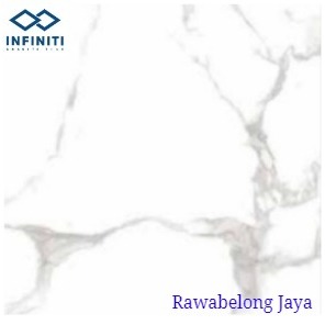 Jual Infiniti Granit Tile 60x60 Revo Rugao Grey Glossy | Shopee Indonesia