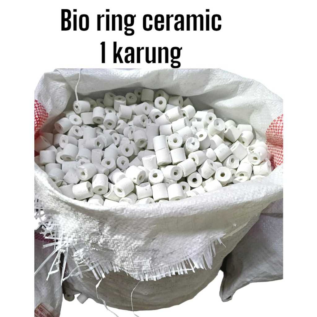Jual BIO RING 1 KARUNG / BIORING MEDIA FILTER PENJERNIH AKUARIUM DAN KOLAM | Shopee Indonesia