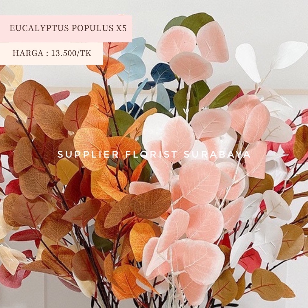 Jual [CABANG 5] EUCALYPTUS POPULUS X5 DAUN ARTIFICIAL LEAVES DAUN ...