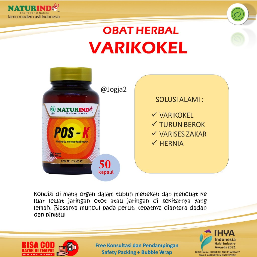 Jual Obat Turun Berok Varikokel Hernia Herbal Ampuh Nyeri Testis Buah ...