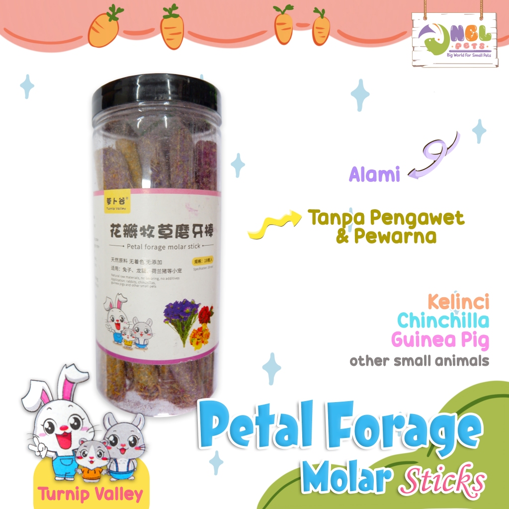 Jual TURNIP VALLEY PETAL FORAGE MOLAR STICK/snacks kelinci chinchilla ...