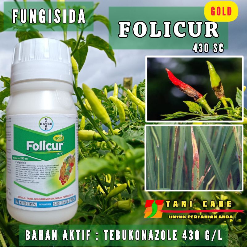 Jual FUNGISIDA FOLICUR GOLD TEBUKONAZOLE 430 SC KEMASAN 240 ML | Shopee ...