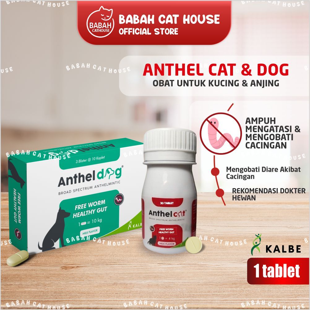 Jual ANTHEL Obat Cacing Kucing Anjing Cat Dog Tablet Murah Ampuh Untuk ...