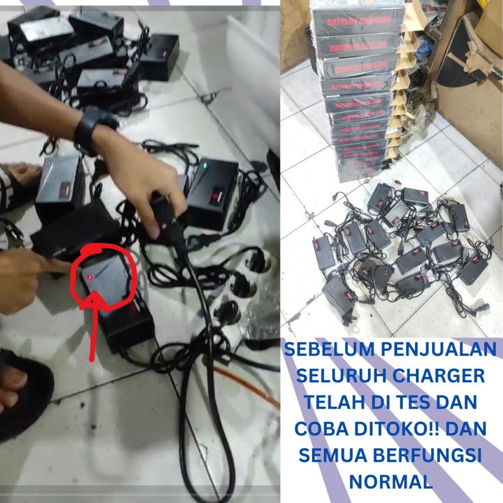 Jual Pacific Universal Charger Sepeda Listrik 48 60Volt Selis E-BIKE ...