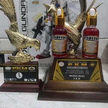 Jual vitamaxwin ga1000 shama sepaket isi 2 botol vitamin burung murai ...