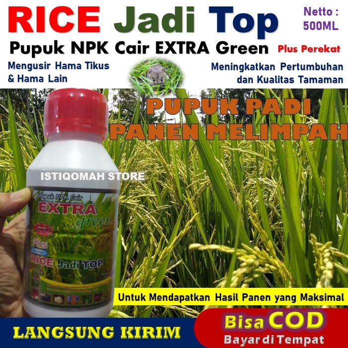 Jual Pupuk Padi agar Hasil Melimpah Anti Rebah Padi Berbobot yang Bagus dan Ampuh RICE JADI TOP ...