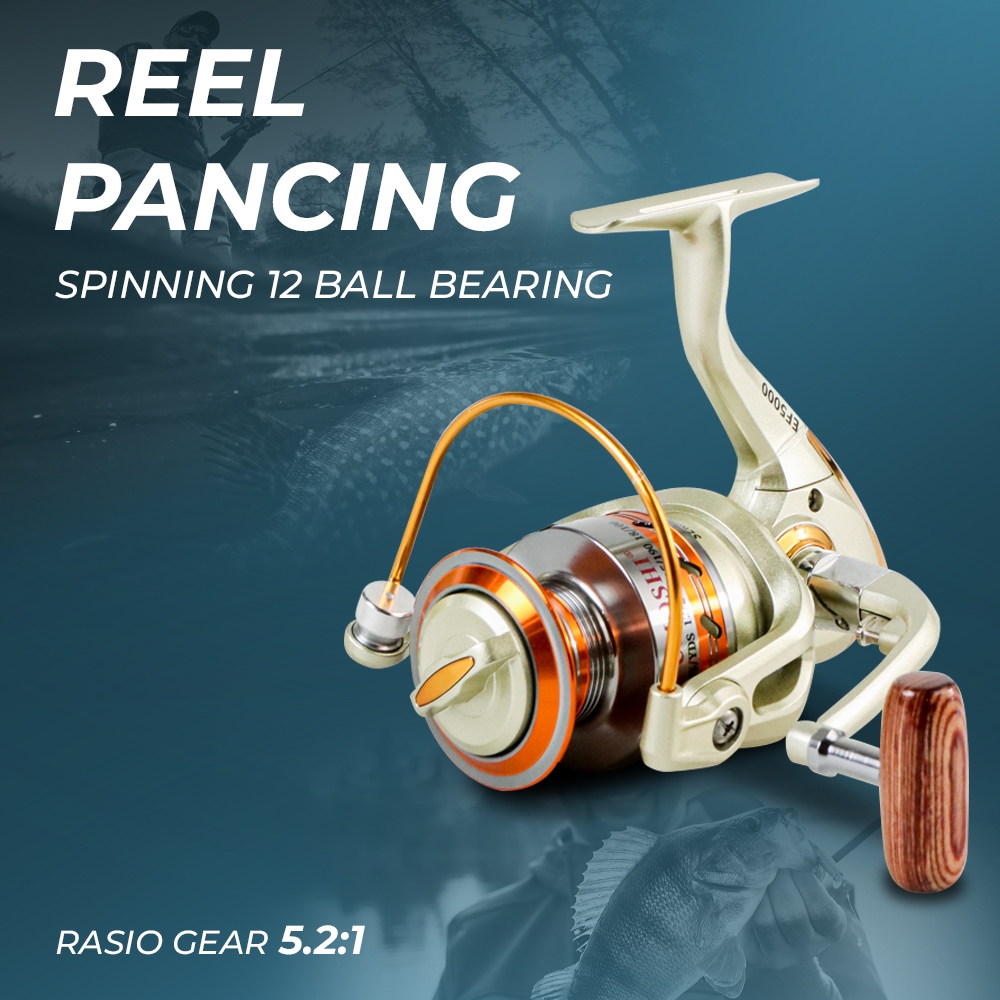 Jual Reel Pancing Spinning 12 Ball Bearing - EF5000 | Shopee Indonesia