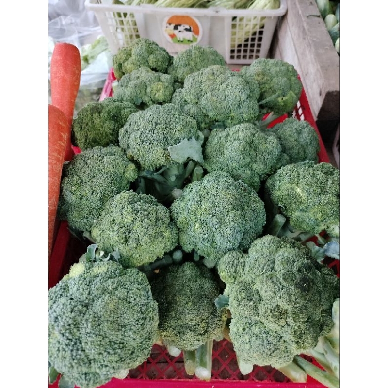 Jual Brokoli Hijau (500 Gram) | Shopee Indonesia