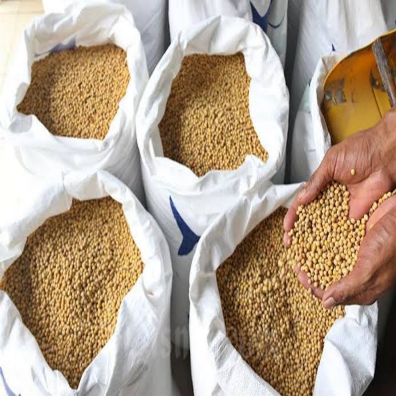 Jual Kacang Kedelai Import 50 Kg(Grade.A)Sudah bersih dari sampah ...