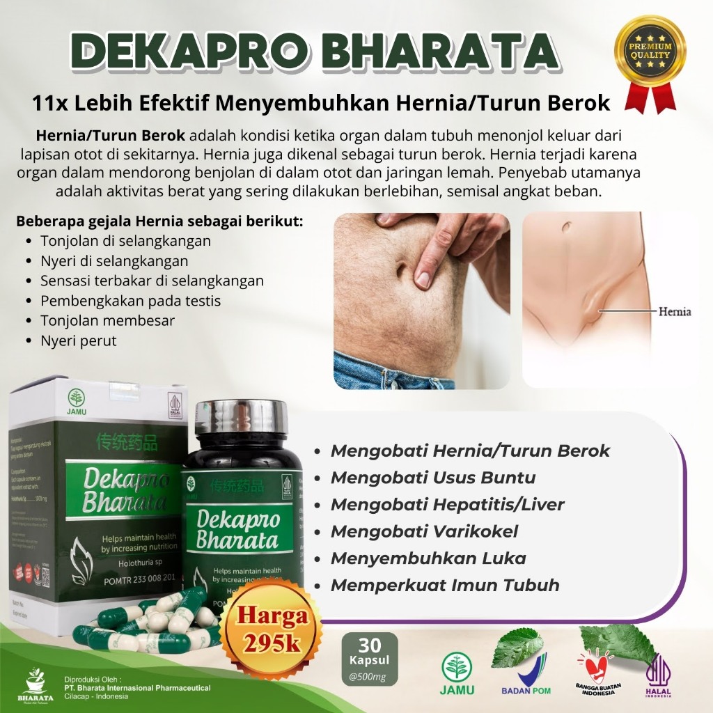 Jual Obat Hernia Turun Berok Dekapro Bharata Original Kemasan 500g Isi ...