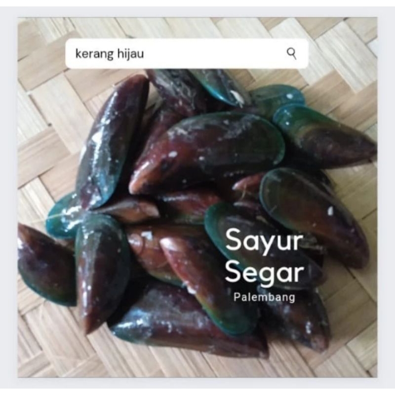 Jual Kerang Hijau per 500 gr Sayur Segar Palembang | Shopee Indonesia