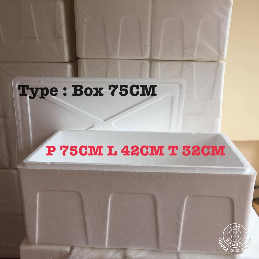 Jual 75cm Styrofoam box BESAR Kotak Gabus Box Frozen Food STEREOFOOM ...