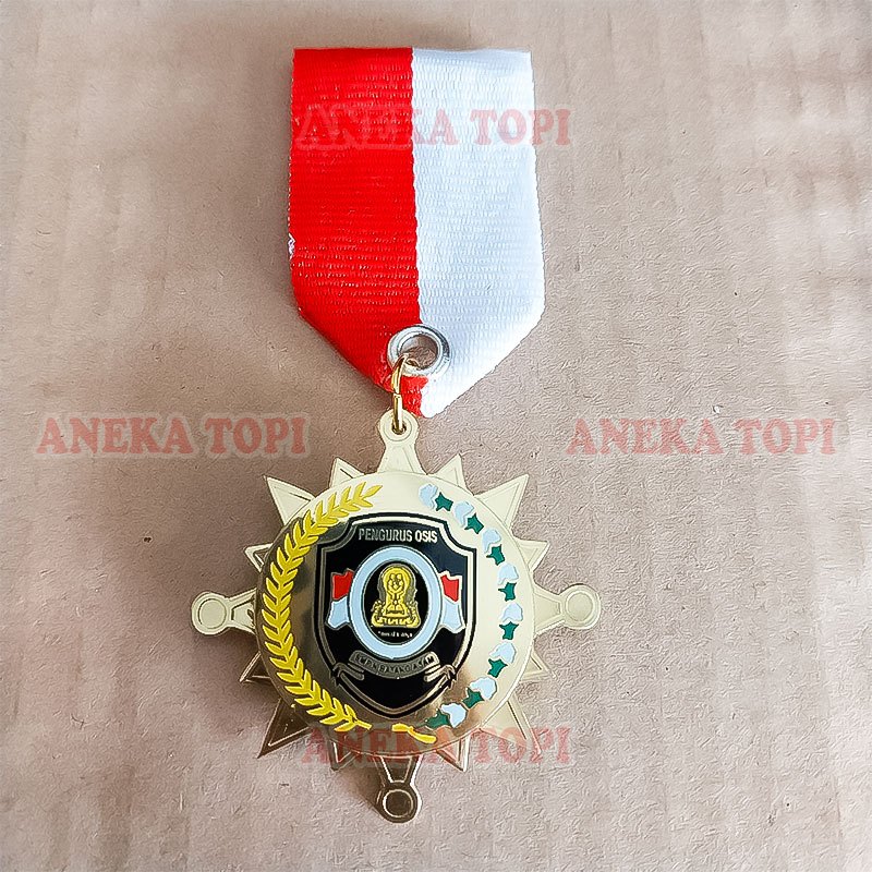 Jual Pin Bintang Jasa Pengurus Osis Sekolah Pin Tanda Jasa Pengurus ...