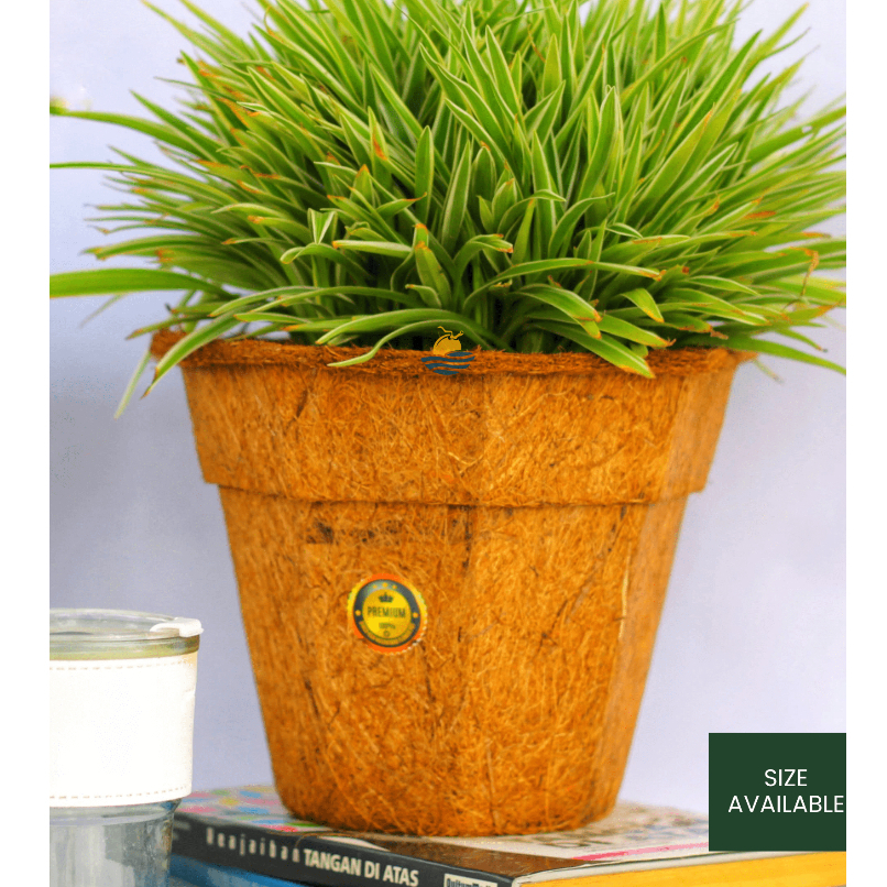 Jual FLOWER POT POLIGON BESAR POT BUNGA ESTETIK SERAT SERABUT KELAPA ...