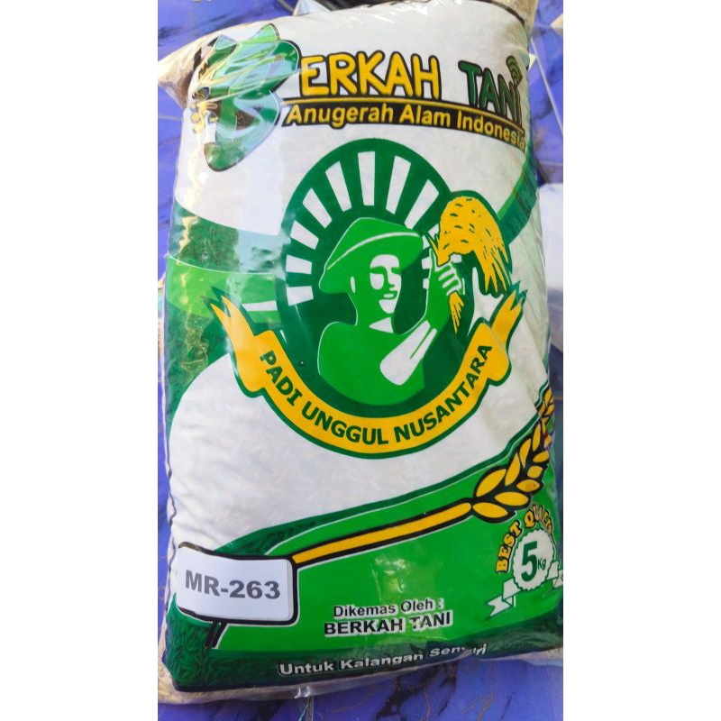 Jual BENIH PADI MR-263 ORIGINAL (BERAT 5KG) | Shopee Indonesia