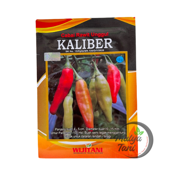 Jual Benih Cabe Kaliber Cabe Rawit 10 Gram Original | Shopee Indonesia