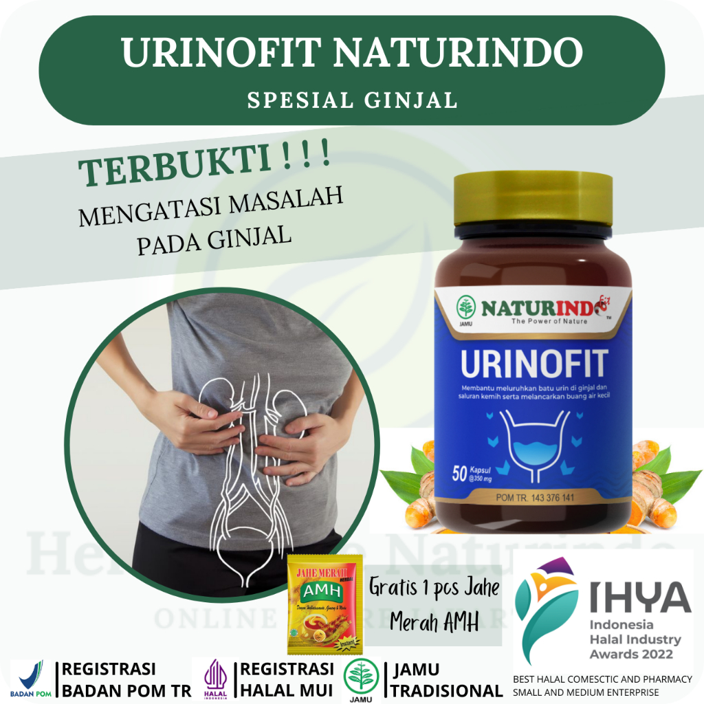 Jual Obat Herbal Ginjal Obat Ginjal Radang Ginjal Kencing Berbusa ...