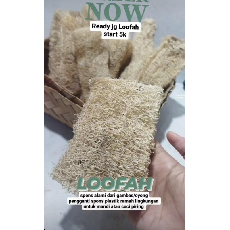 Jual LOOFAH Potongan | Shopee Indonesia