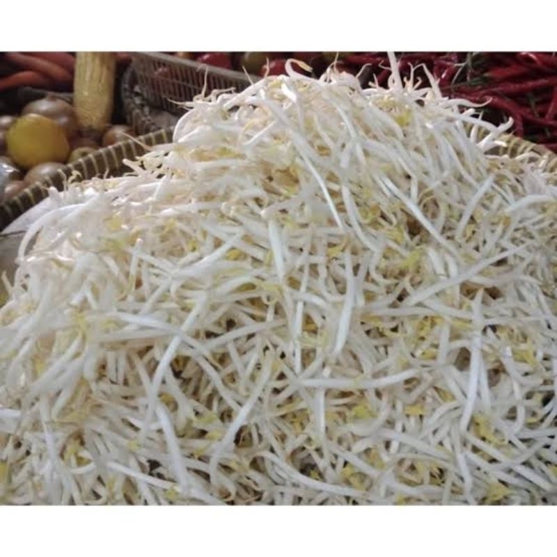 Jual tauge besar/Bangkok 500gr | Shopee Indonesia