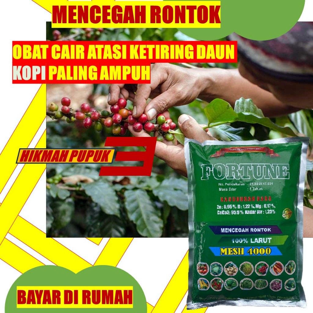 Jual OBAT SEMPROT BUAH KOPI BAIR TAMBAH BANYAK FORTUNE 1 KG MENGOBATI ...