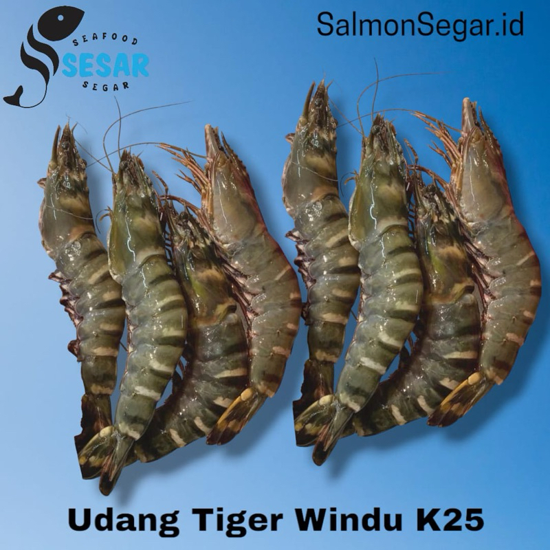 Jual Udang Tiger Pacet Segar - Udang Windu Fresh Size K25 | Shopee ...