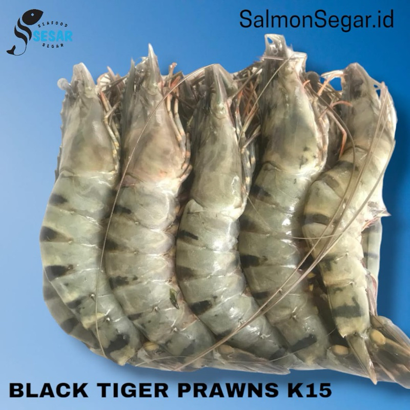 Jual Udang Tiger Jumbo - Fresh Black Tiger Prawns K15 | Shopee Indonesia