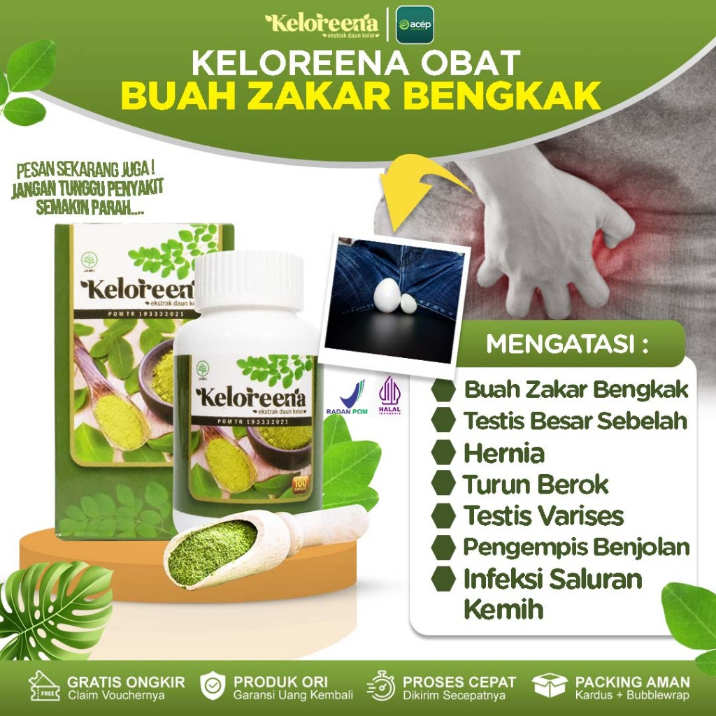 Jual Obat Buah Zakar Bengkak Testis Besar Sebelah Testis Varises Hernia ...