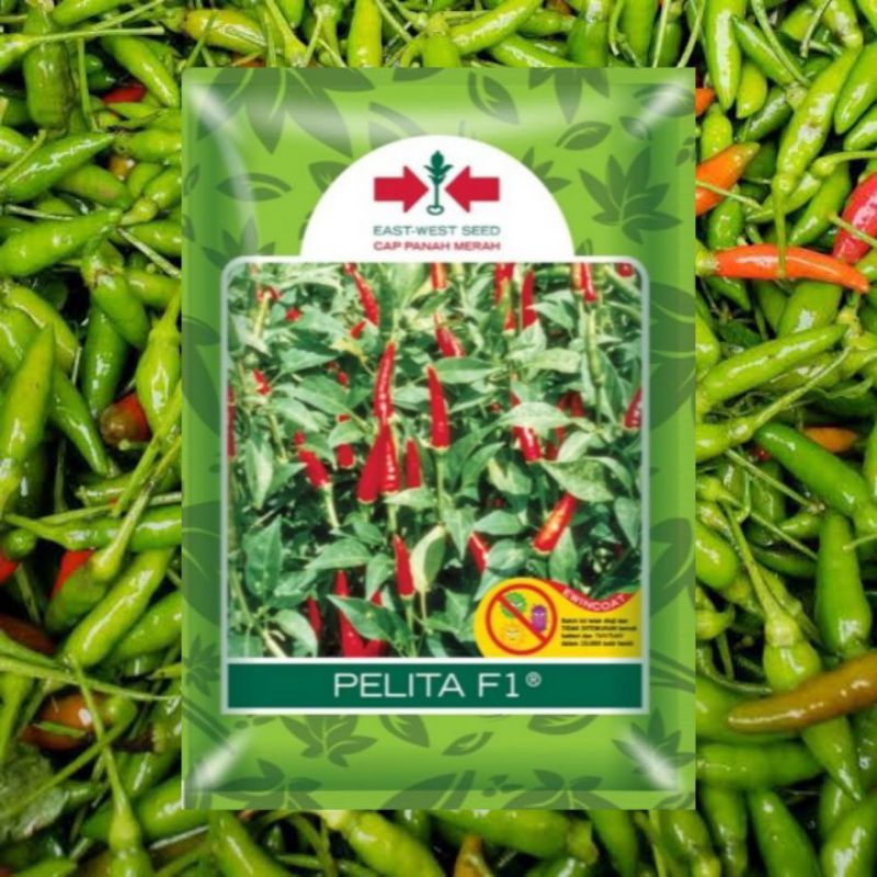 Jual 100 Biji Cabe Rawit PELITA 8 F1 | Benih Cabe Rawit Hijau | Bibit ...