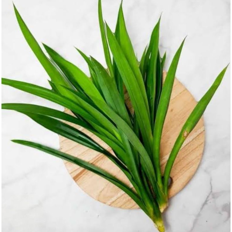 Jual Daun Pandan Wangi 1 ikat | Shopee Indonesia