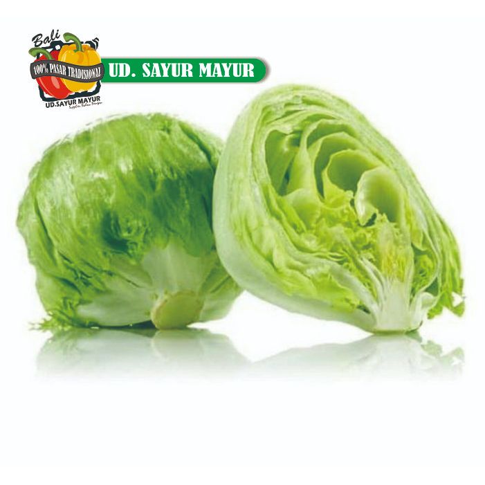 Jual Lettuce iceberg | Selada bulat 250 gram | Shopee Indonesia
