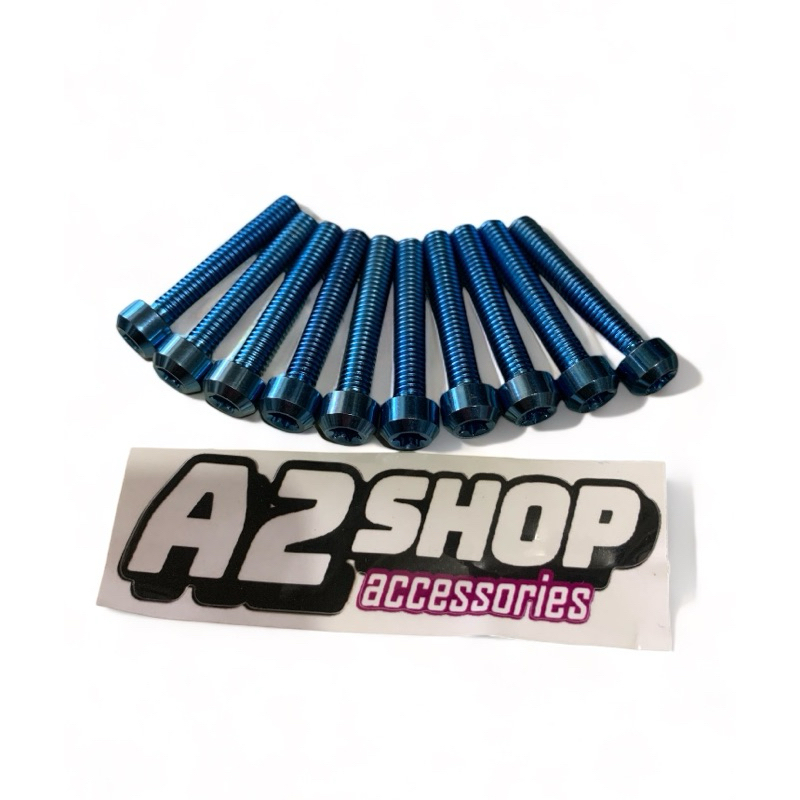 Jual BAUT TITANIUM CVT VESPA MATIC SPRINT PRIMAVERA HARGA 10 BAUT ...