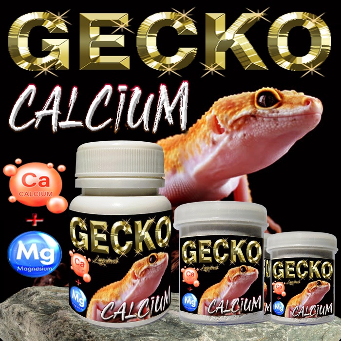 Jual GECKO CALCUM NON D3 KALSIUM BUBUK CALSIUM POWDER OBAT MBD TOKEK ...