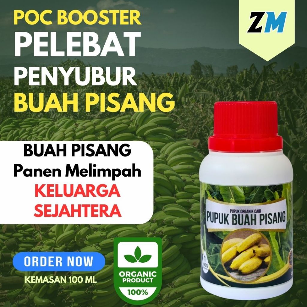 Jual Pupuk Pisang Organik Agar Cepat Berbuah Bagus Cavendish Kepok Buah Lebat 100 ml | Shopee ...
