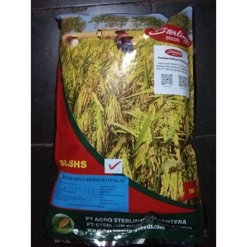 Jual Benih padi sterling SL-8SHS 1KG | Shopee Indonesia