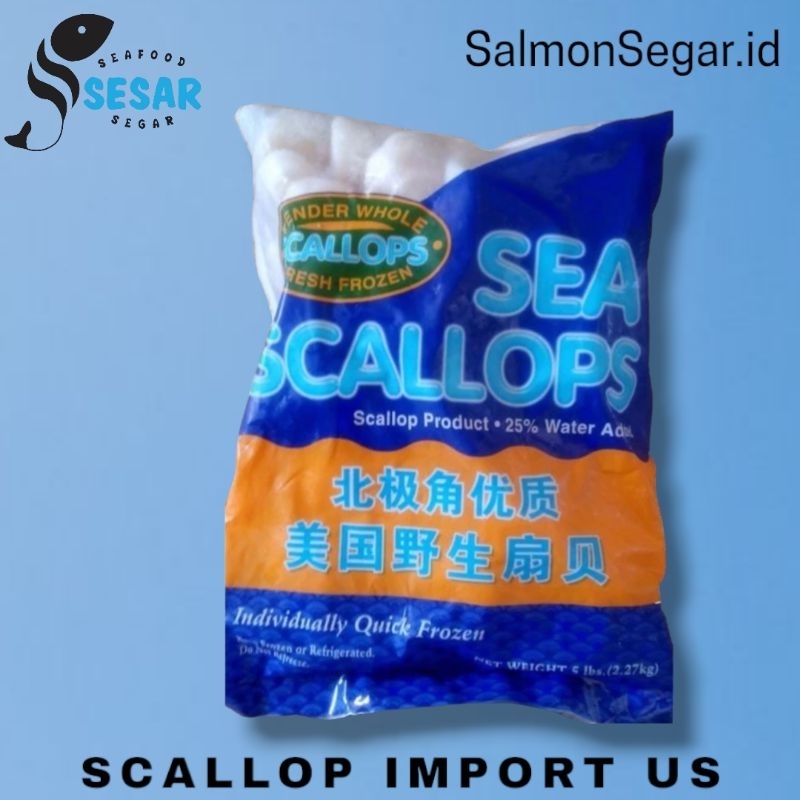 Jual Scallop USA / Scalop Import Premium / 2.27kg / Kerang Kampak ...