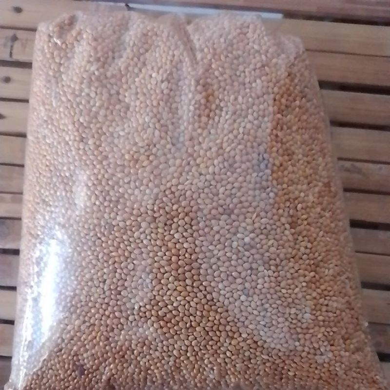 Jual MILET KUNING 1 KG pakan burung | Shopee Indonesia
