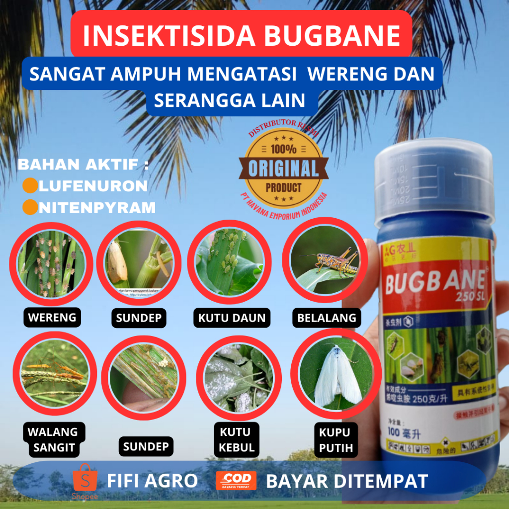 Jual BUGBANE INSEKTISIDA PALING AMPUH MENGATASI WERENG ISI 100ML | Shopee Indonesia