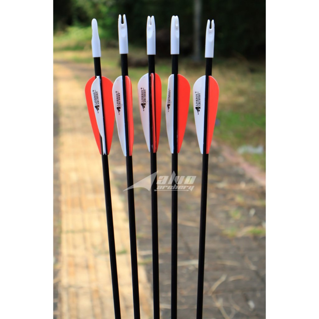 Jual ARROW FIBER ALVO-6MM-AKSESORIS PANAHAN-PERLENGKAPAN PANAHAN ...