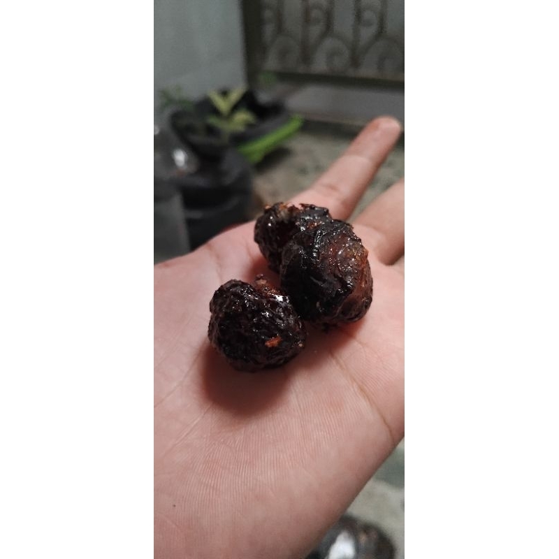 Jual buah lerak tanpa biji 100gr | Shopee Indonesia