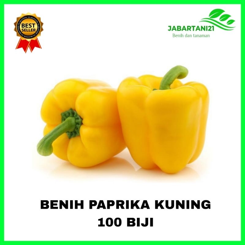 Jual benih paprika kuning|paprika kuning paket kemasan (100 biji ...